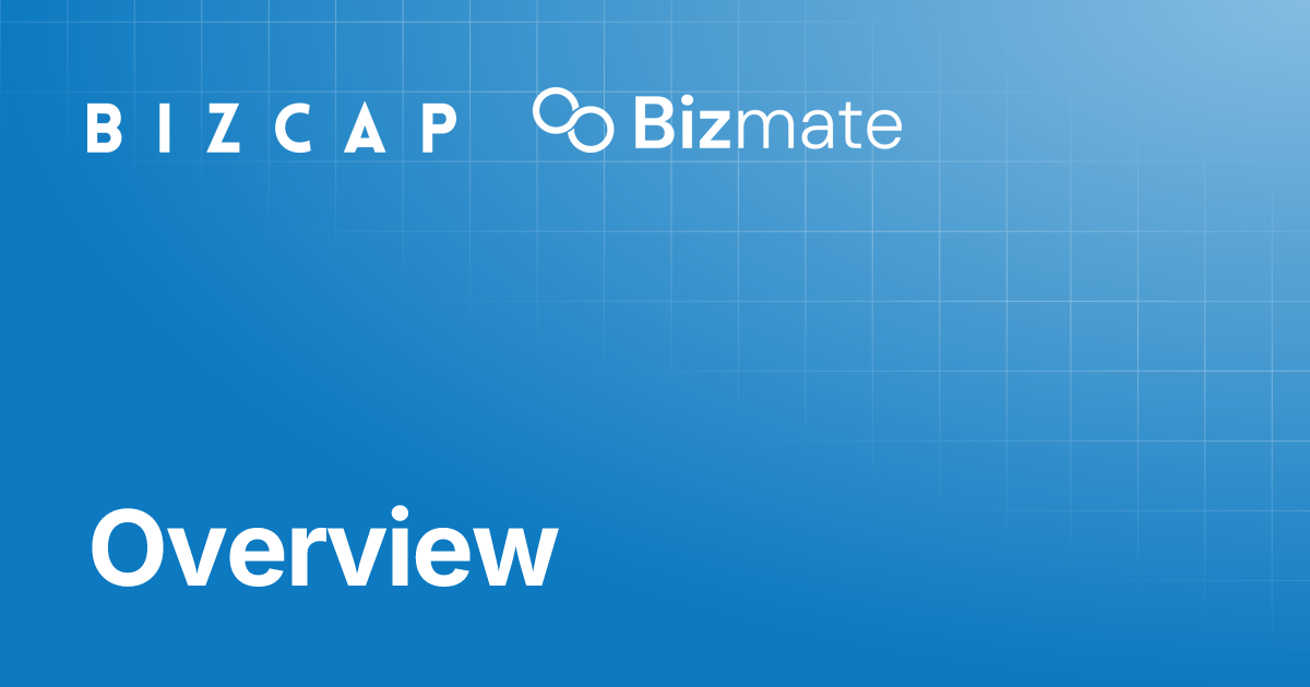 Overview | Bizcap Bizmate CRM, API Developer Documentation